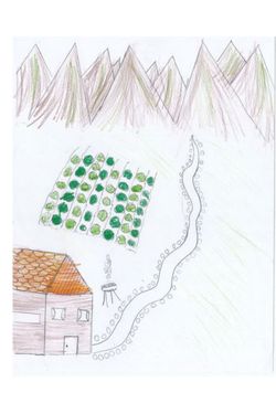 Book Creator | Nathan