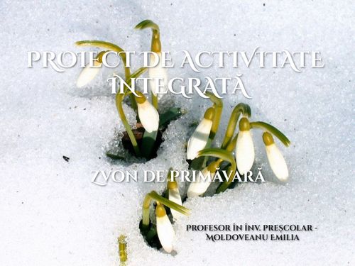 Book Creator | Proiect didactic - Zvon de primavara