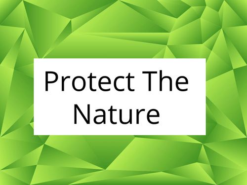 Book Creator | Protect The Environment
