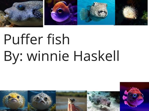 Book Creator | Puffer Fish