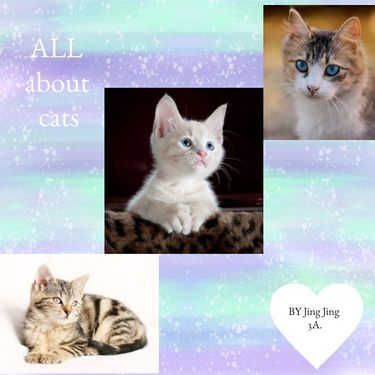 Book Creator | All About Cats