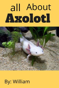 Book Creator | Axolotl