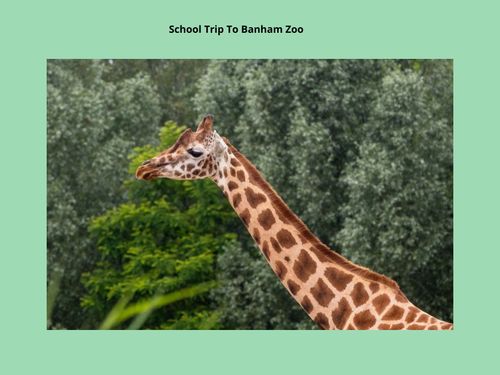 Book Creator | Banham Zoo
