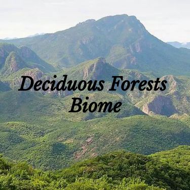 Book Creator | Deciduous Forests