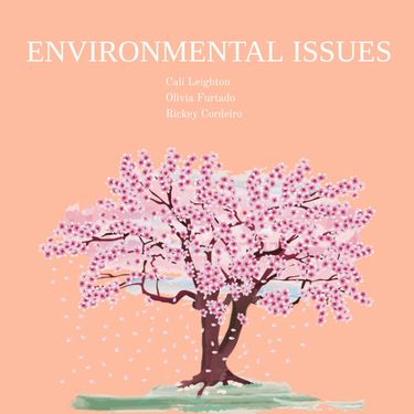 Book Creator | Environmental Issues