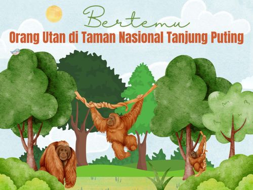 Book Creator | Bertemu Orang Utan di Taman Nasional Tanjung Puting