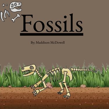 Book Creator | Fossils