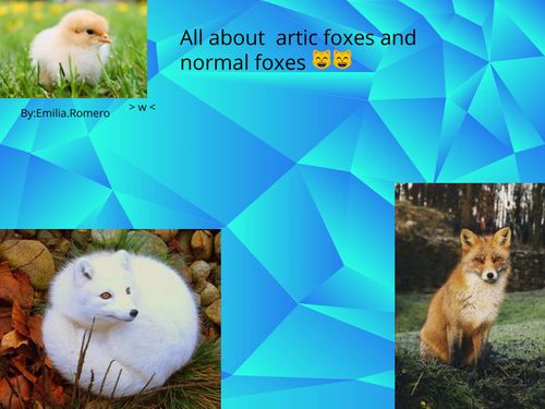 Book Creator | All about Foxes