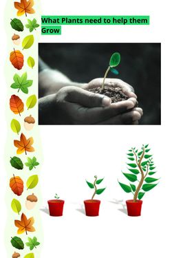 Book Creator | What plants need to help them grow grow