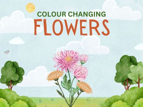 Book Creator | Colour Changing Flowers