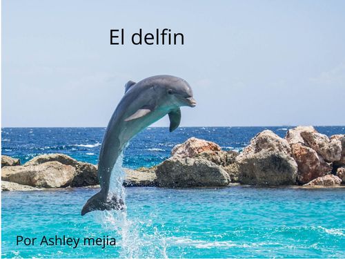 Book Creator | delfines