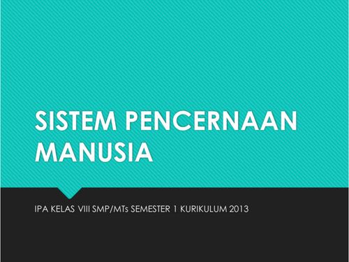 Book Creator | ppt sistem pencernaan manusia (1)
