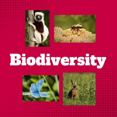 Book Creator | Digital Book - Biodiversity