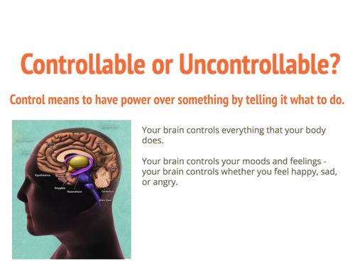 Book Creator | Controllable vs Uncontrollable, The Human Body