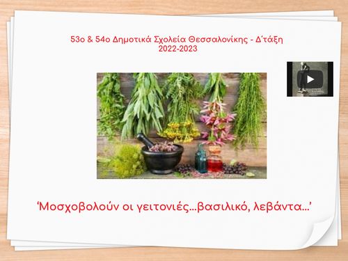 Book Creator | Μοσχοβολούν οι γειτονιές...βασιλικό...λεβάντα...