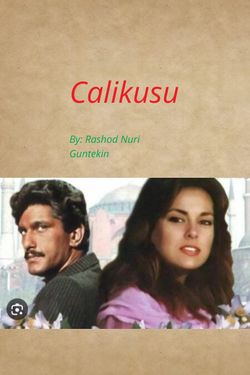 Book Creator | CHOLI QUSHI