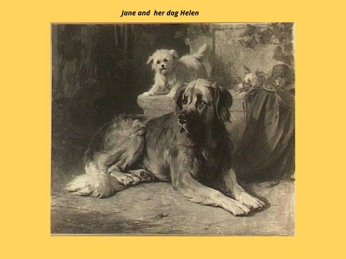 Book Creator | The two friends and the dog