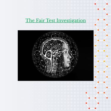 Book Creator | The Fair Test