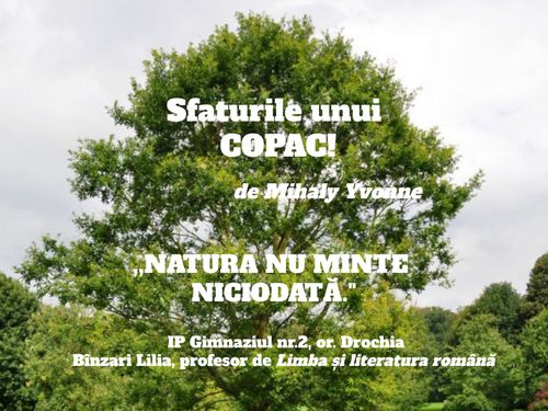 Book Creator | Sfaturile unui copac