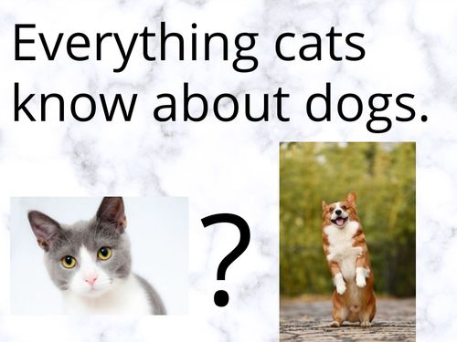 Book Creator | everything cats know about dogs