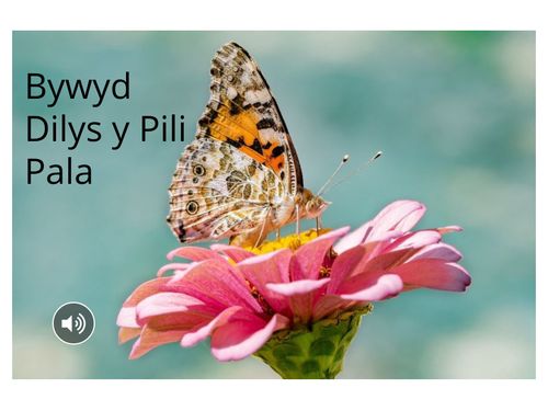 Book Creator | Pili Pala