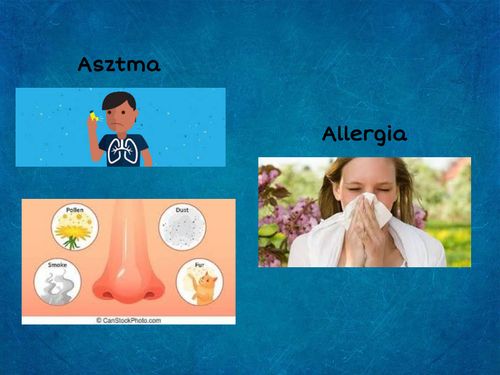 Book Creator | asztma és allergia