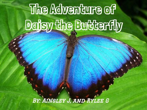 Book Creator | ecology