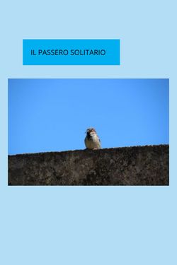 Book Creator | PASSERO SOLITARIO