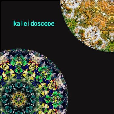 Book Creator | kaleidoscope