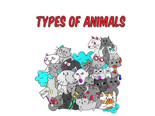 Book Creator | types of animal