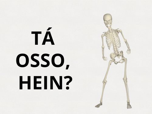 Book Creator | Tá osso!