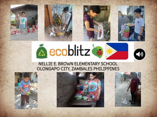 Book Creator | EcoBlitz Journey