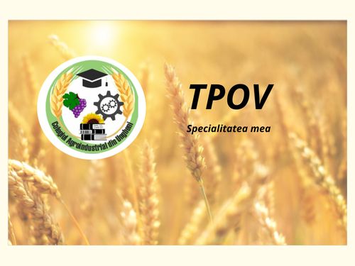 Book Creator | TPOV