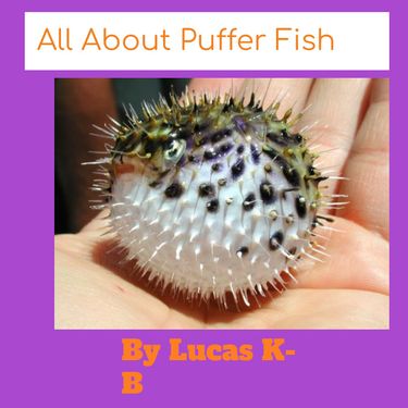 Book Creator | All About Puffer Fish