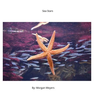 Book Creator | Morgan