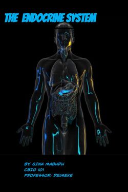 Book Creator | The endo