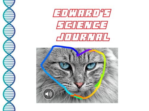Book Creator | Edward's Science Journal