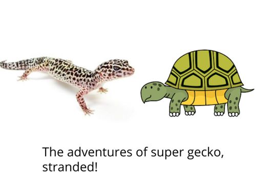Book Creator | The adventures of super gecko, stranded