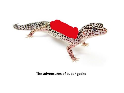 Book Creator | The adventures of super gecko