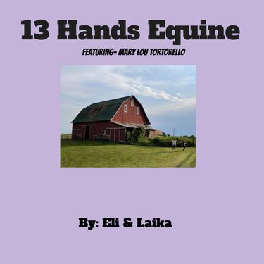 Book Creator | 13 Hands Equine