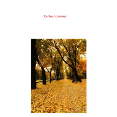 Book Creator | Clasa a III-a