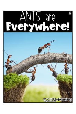 Book Creator | Ants are Everywhere!