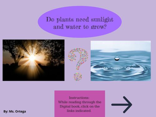 Book Creator | Do plants need Sunlight and water to grow?