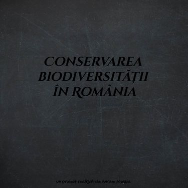 Book Creator | conservarea biodiversitatii in Romania