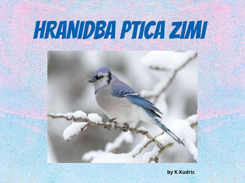 Book Creator | (copy) PTICE STANARICE