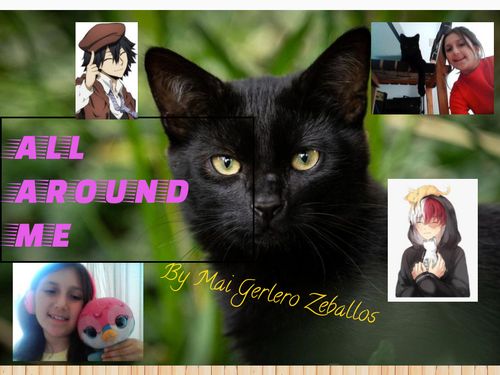 Book Creator | All Around Me