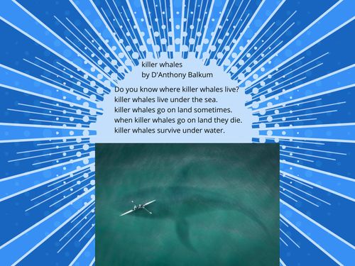 Book Creator | Killer Whales