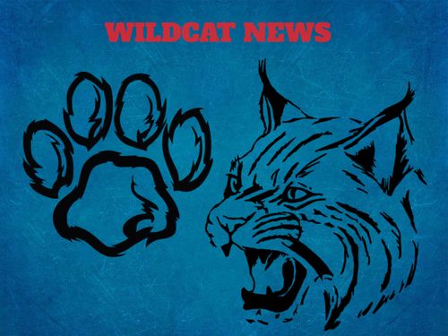 Book Creator | Wildcat News