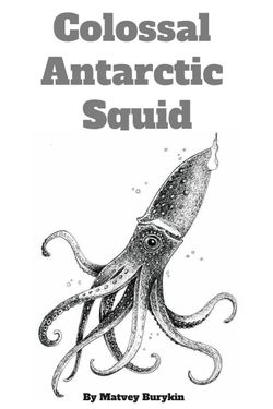 Book Creator | Antarctic Squid