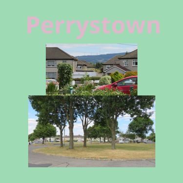 Book Creator | perrystown